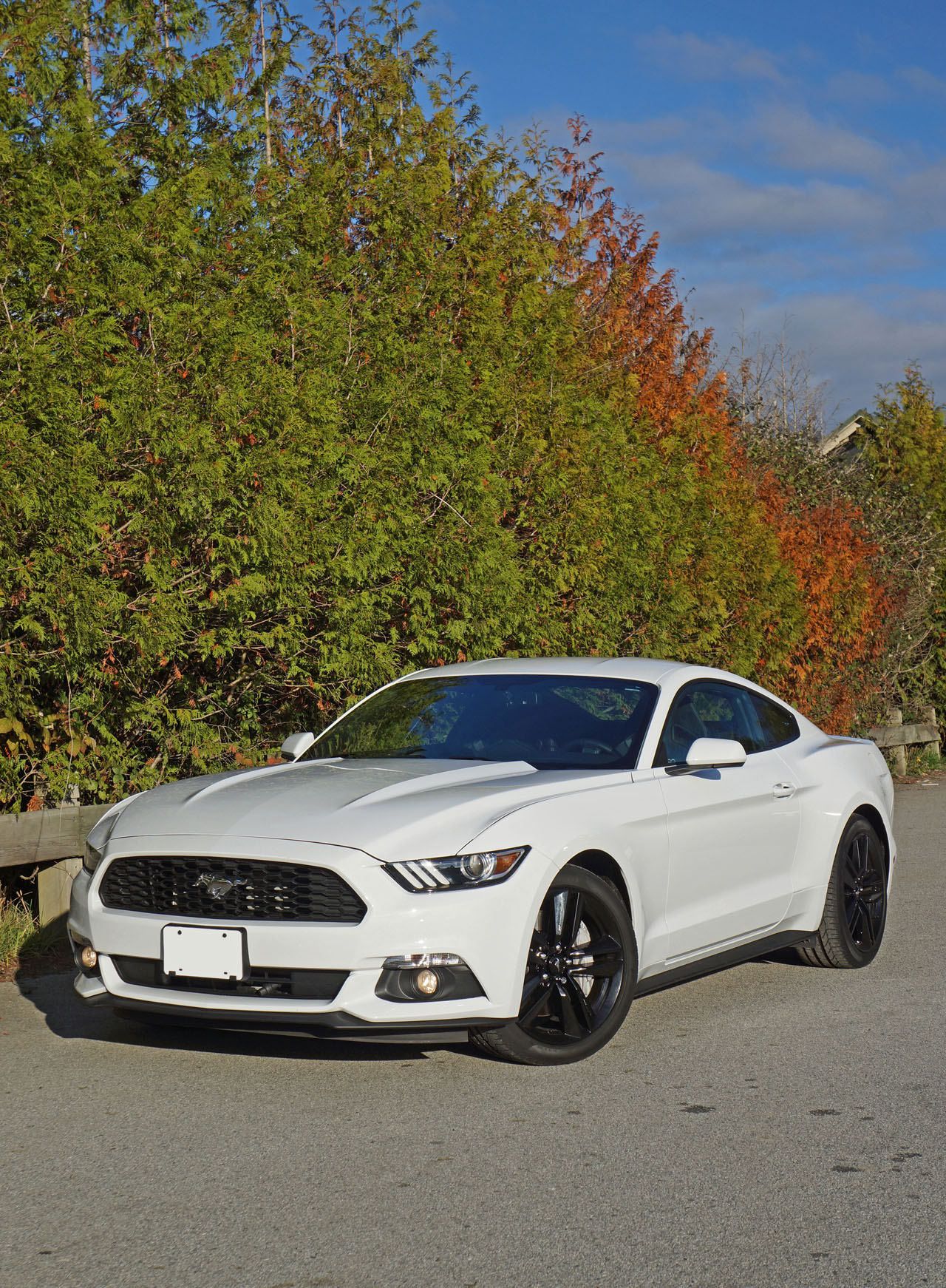 2016 Ford Mustang Ecoboost Fastback Road Test Review | The Car Magazine